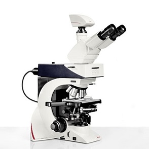 荧光显微镜 德国Leica DM2500 LED-光学显微镜-金相显微镜-创诚致佳